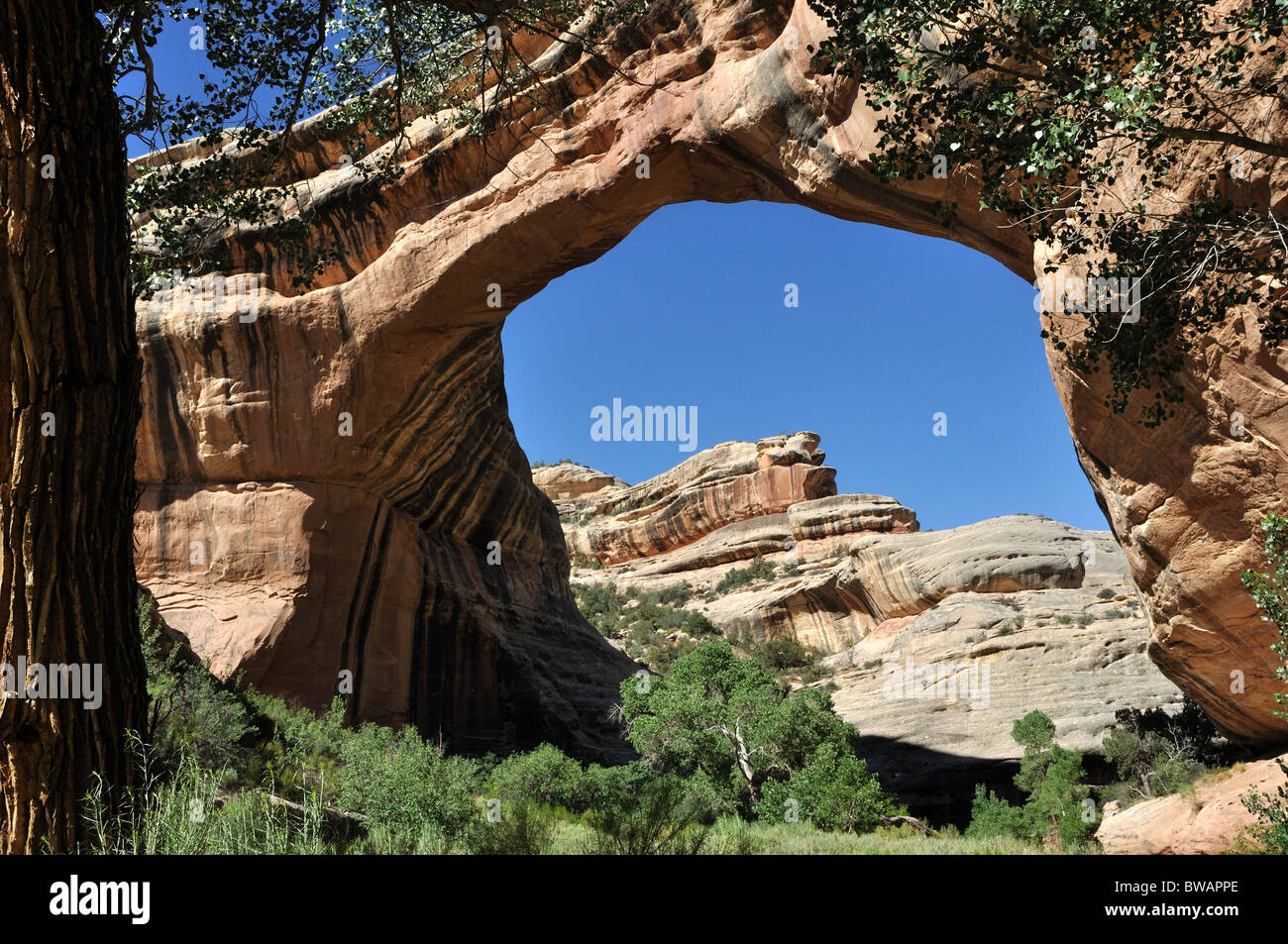 Huge natural rock formation bridge hi-res stock photography and images ...