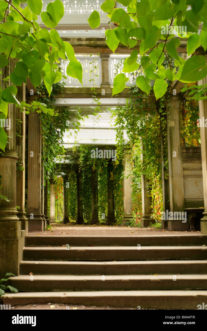 Pergola with a vine hi-res stock photography and images - Alamy