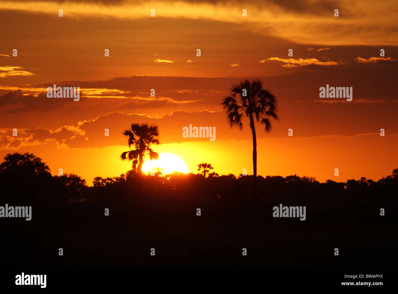 Chief’s island hi-res stock photography and images - Alamy