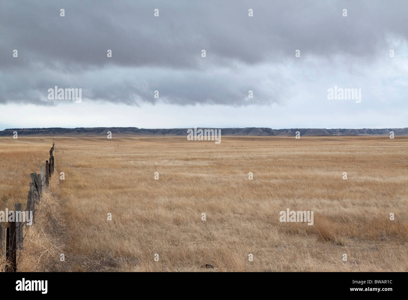 Tumbleweeds great plains hi-res stock photography and images - Alamy
