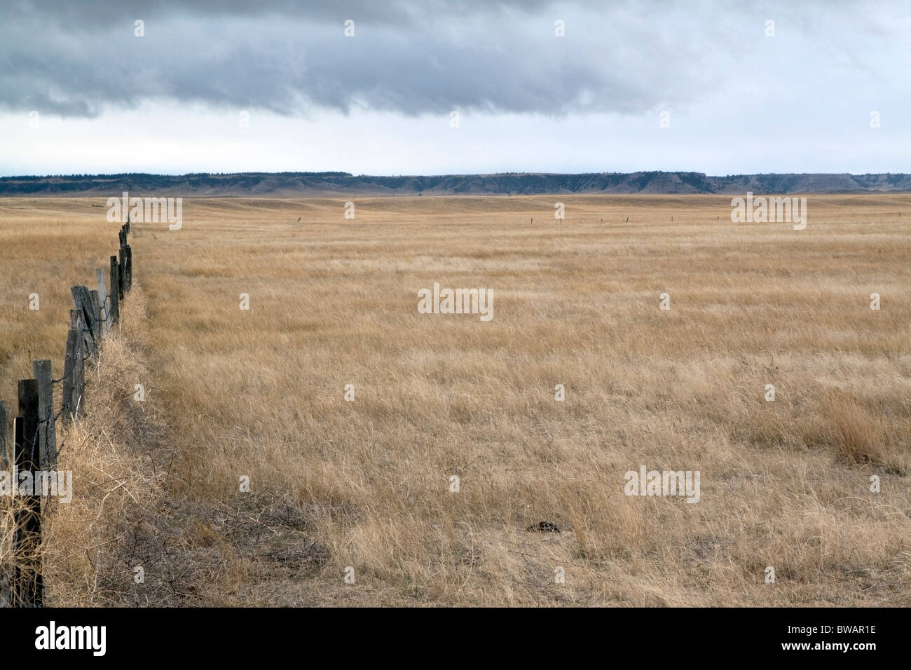 Flat prairie land hi-res stock photography and images - Alamy