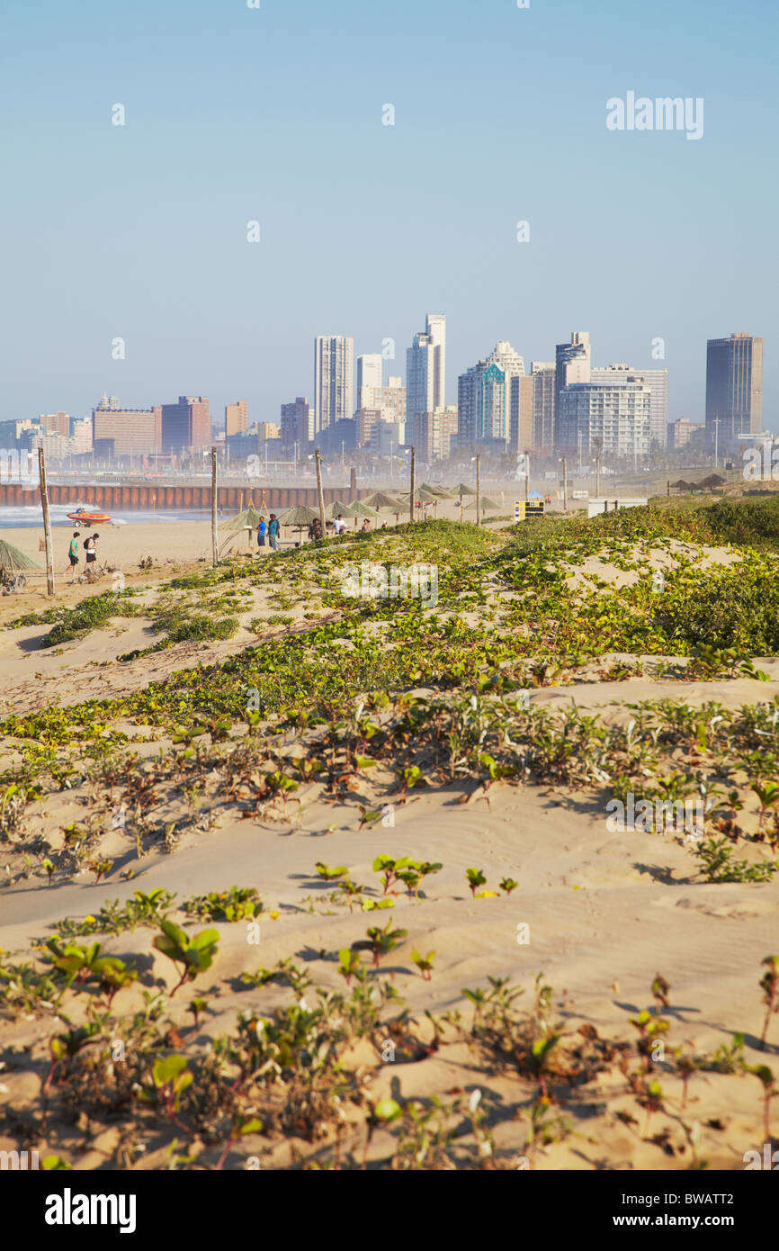 View of Durban skyline and beachfront, Durban, KwaZulu-Natal, South ...