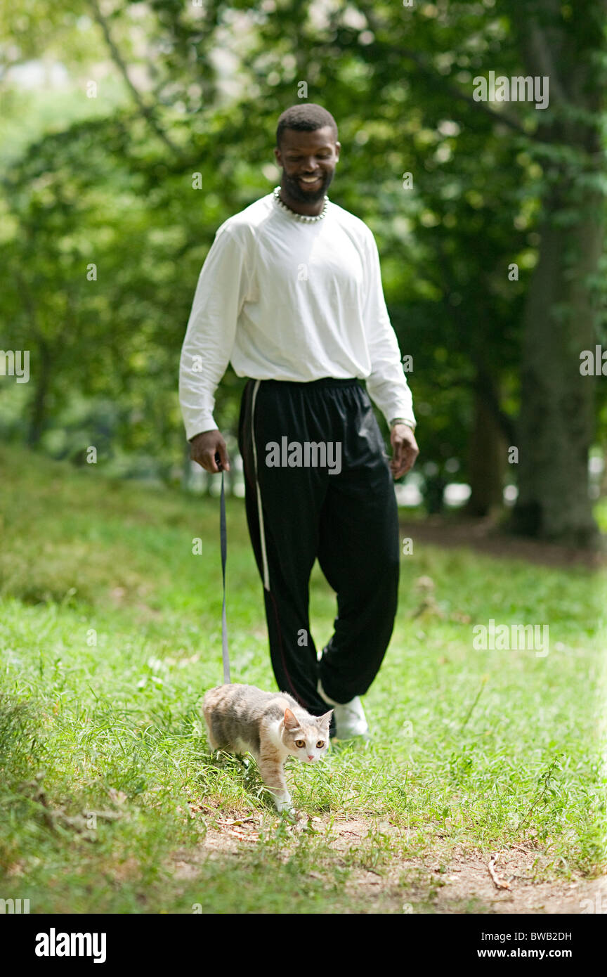 Man walking a cat Stock Photo - Alamy