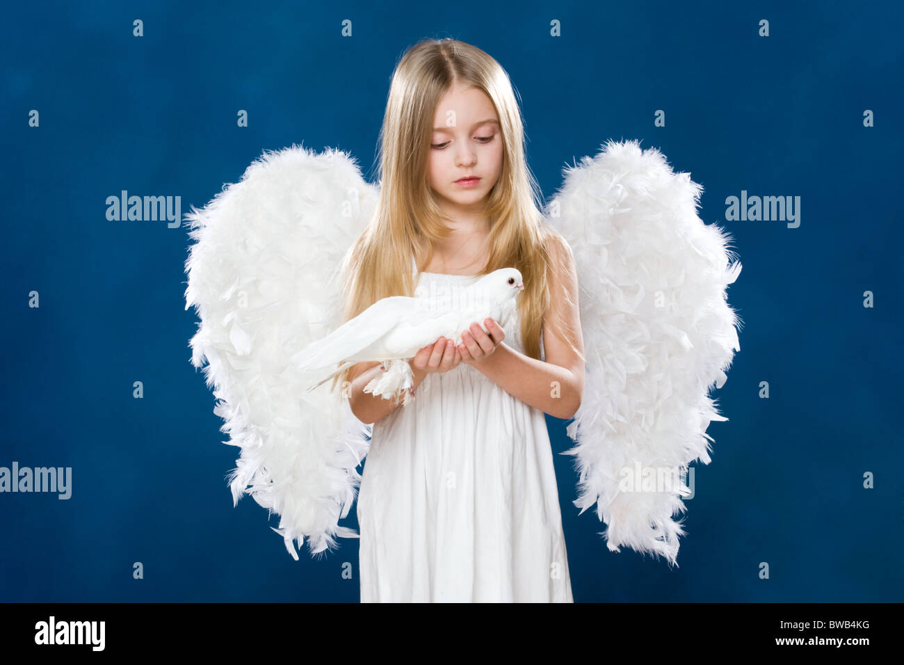 Portrait of innocent angel with nice dove looking at it with love Stock ...