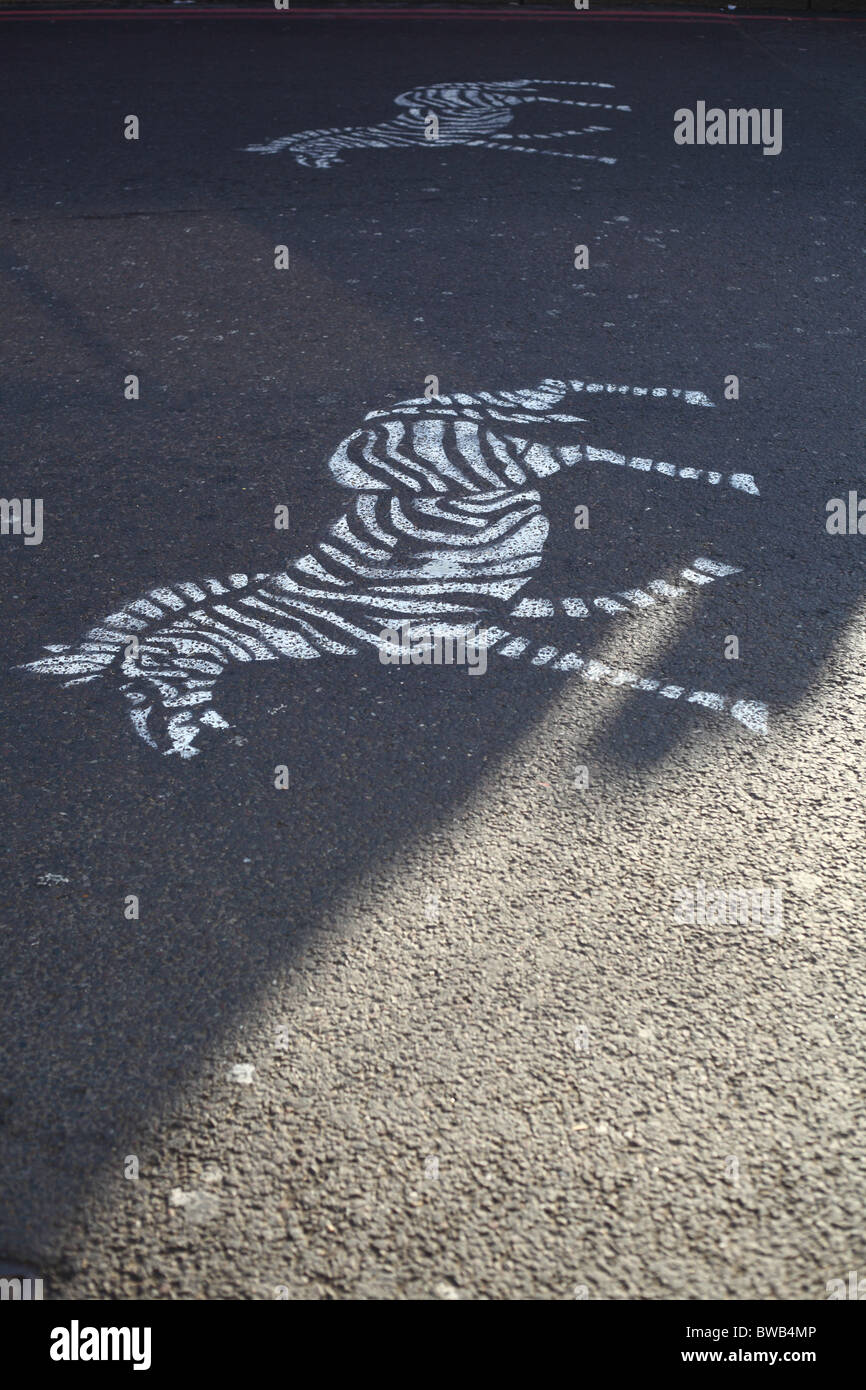 zebra cross zebra graffiti on asphalt Stock Photo - Alamy