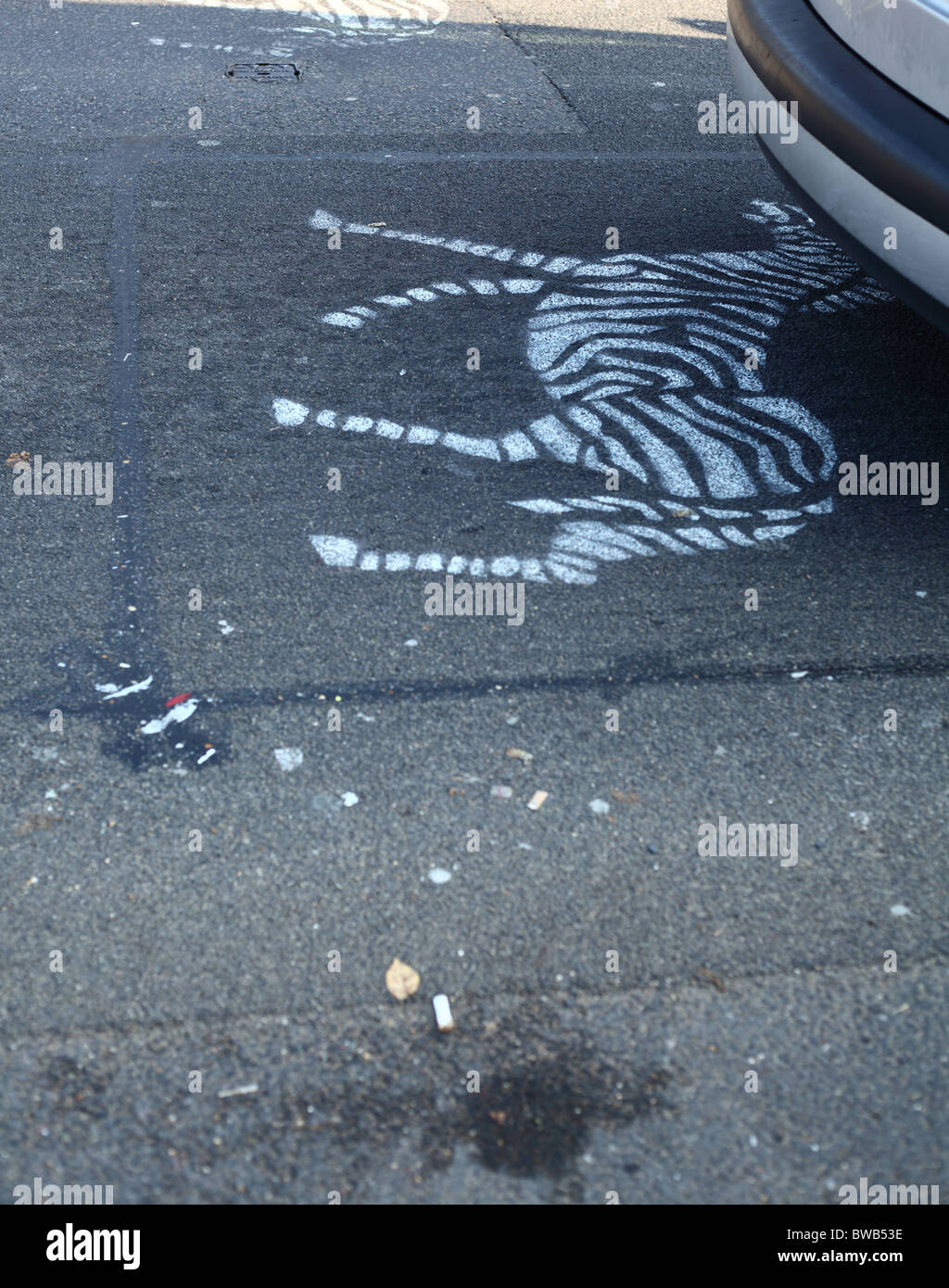 zebra cross zebra graffiti on asphalt and car Stock Photo - Alamy