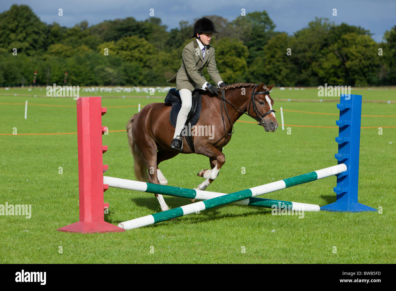 Pony jumping hi-res stock photography and images - Alamy