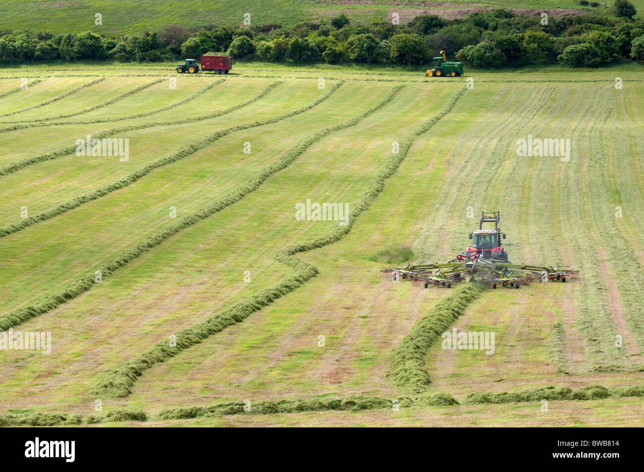 Silage Harvester Stock Photos & Silage Harvester Stock Images - Alamy