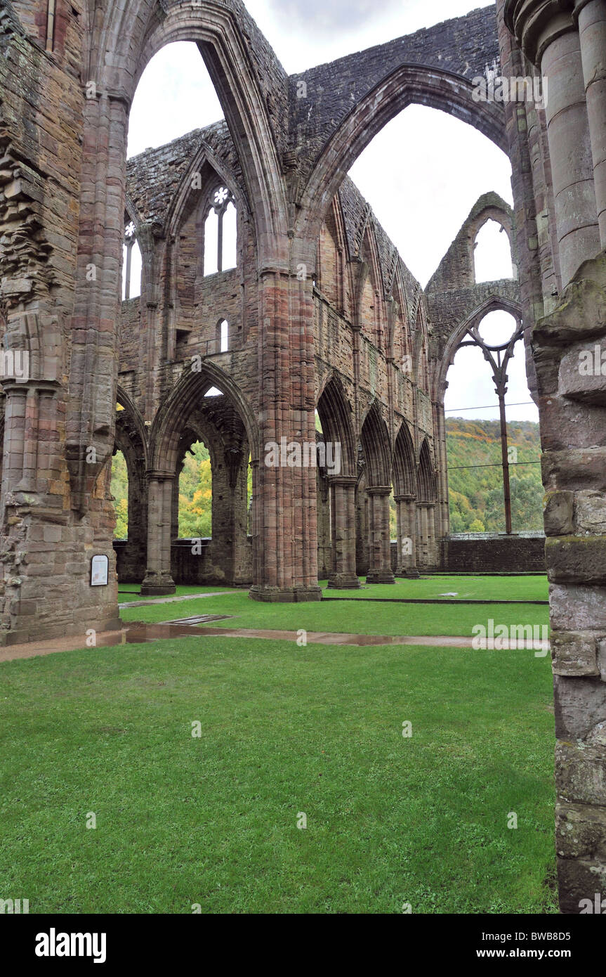 The ruins of Tintern Abbey, Monmouthshire, UK Stock Photo - Alamy