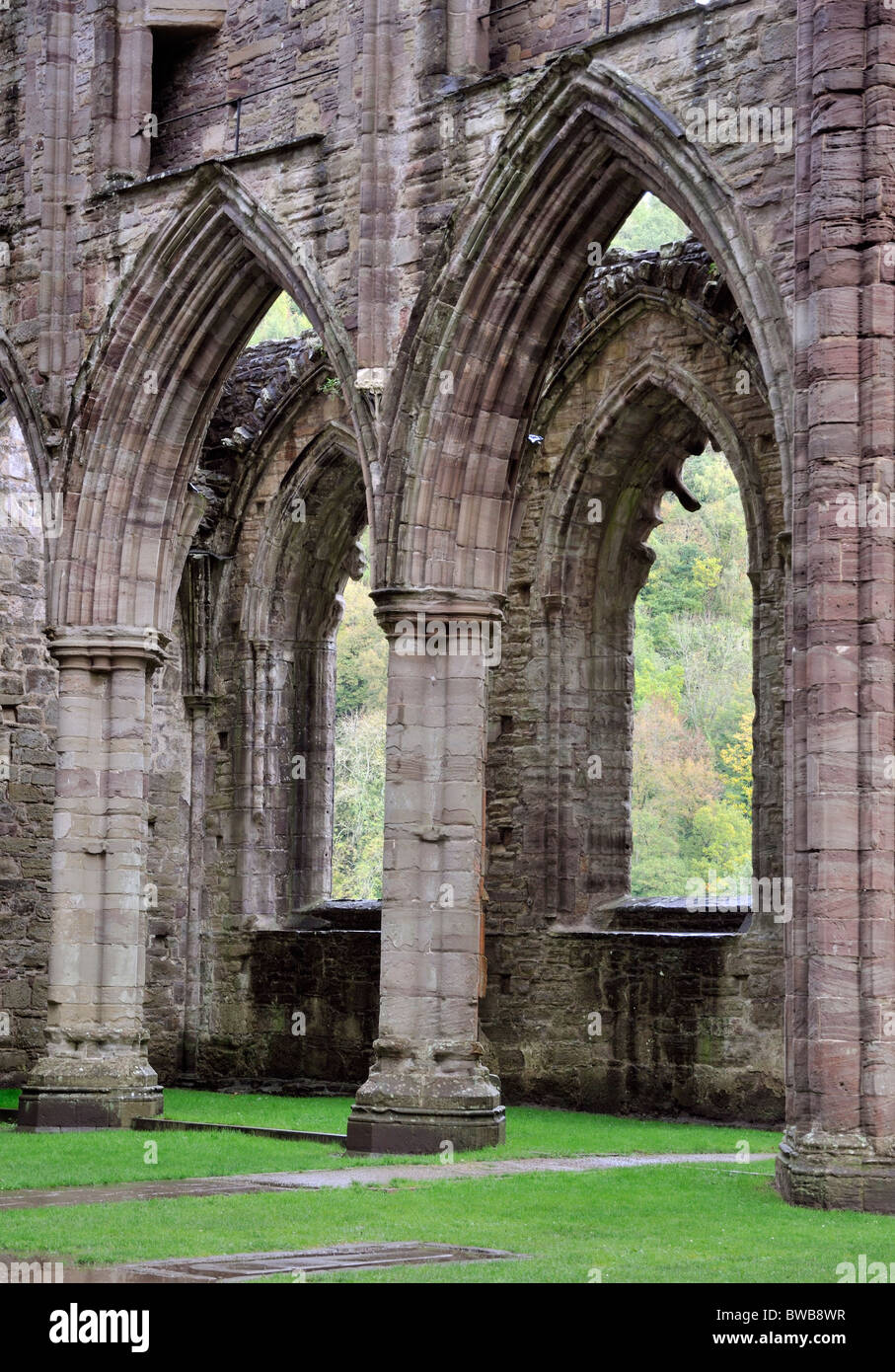 The ruins of Tintern Abbey, Monmouthshire, UK Stock Photo - Alamy