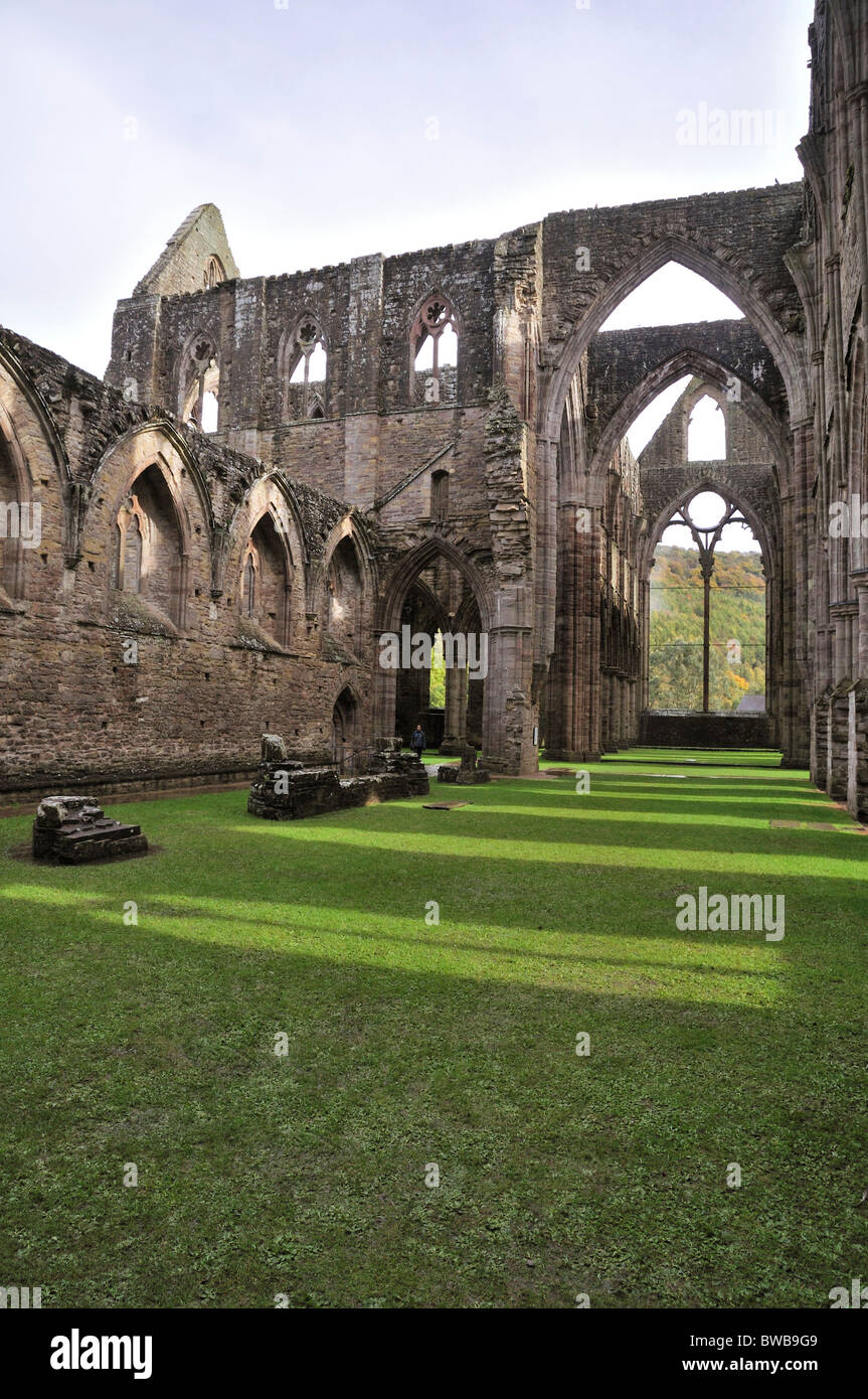 The ruins of Tintern Abbey, Monmouthshire, UK Stock Photo - Alamy