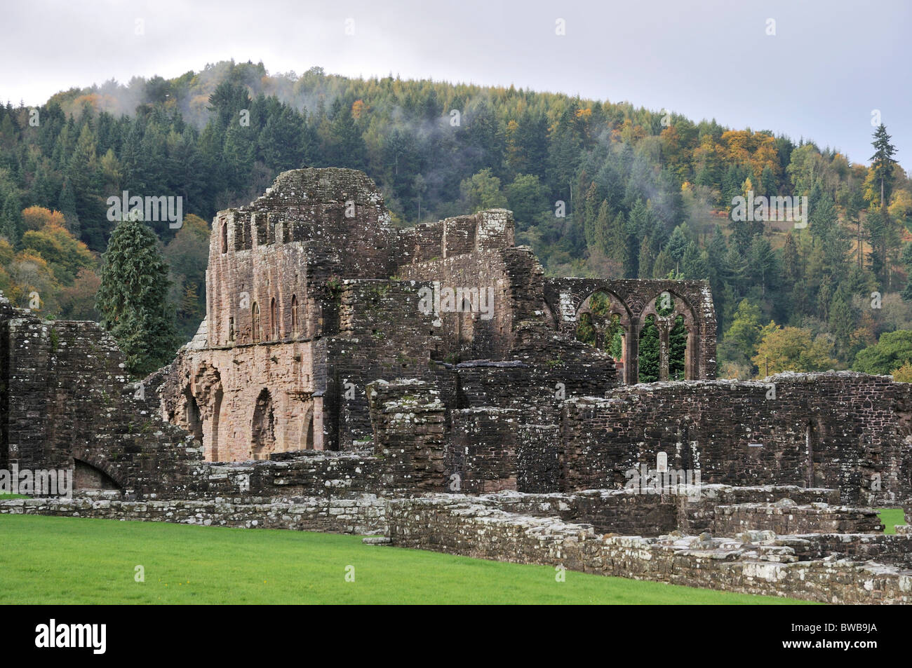 The ruins of Tintern Abbey, Monmouthshire, UK Stock Photo - Alamy