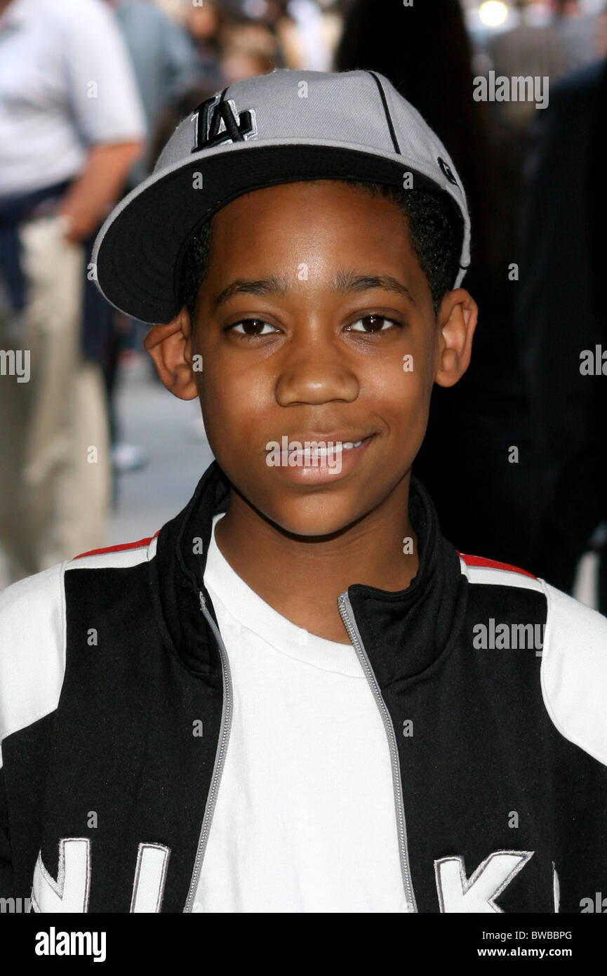 OVER THE HEDGE Premiere Stock Photo - Alamy