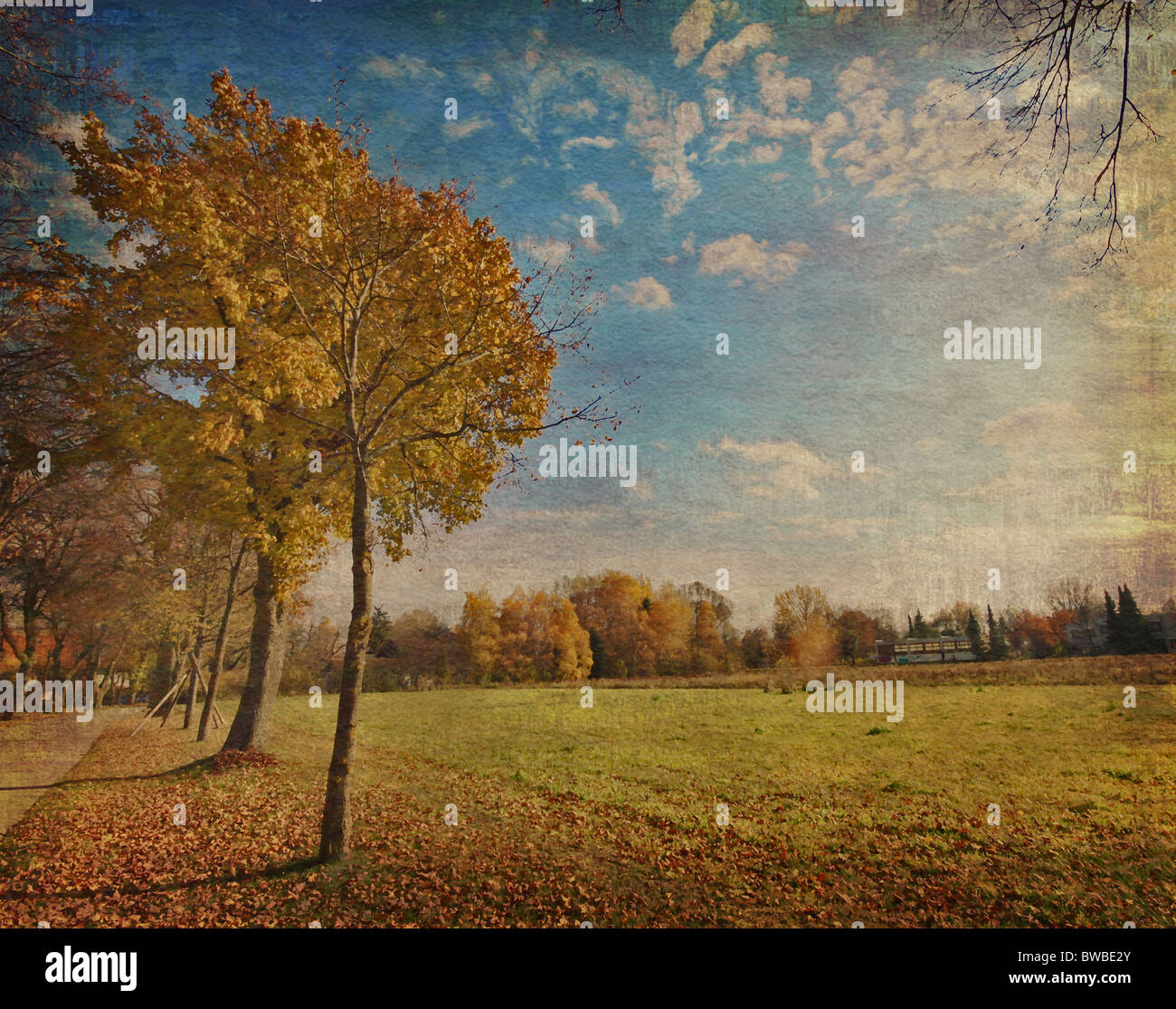 Autumn in Bayern, alley with trees and red leaves Stock Photo - Alamy