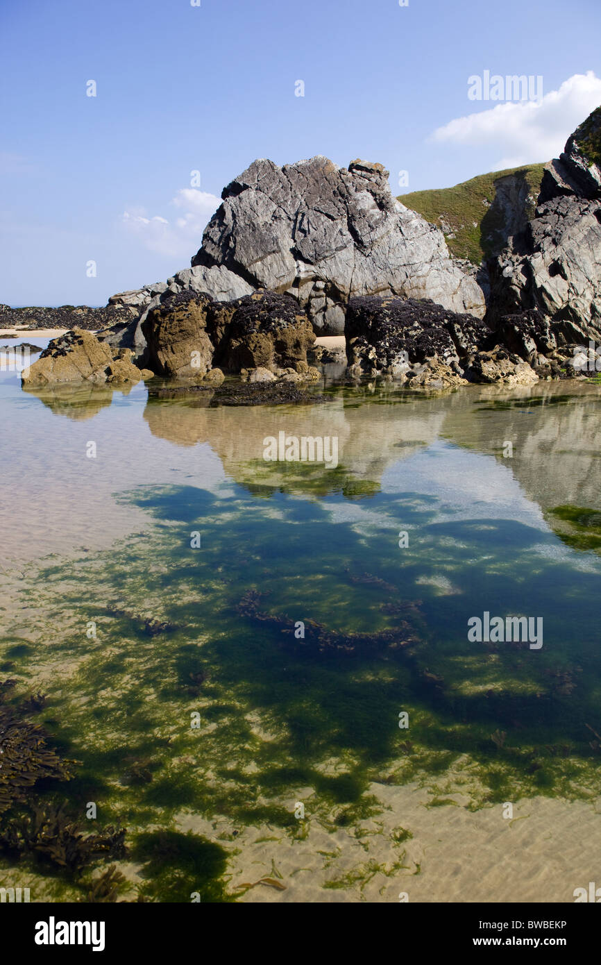 Rockpool hi-res stock photography and images - Alamy