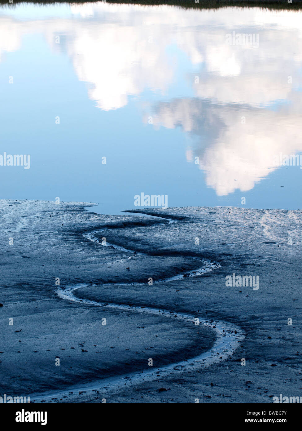 Estuary at low tide, Cornwall, UK Stock Photo - Alamy