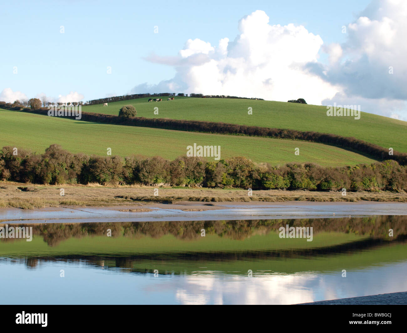Cornwall fields hi-res stock photography and images - Alamy
