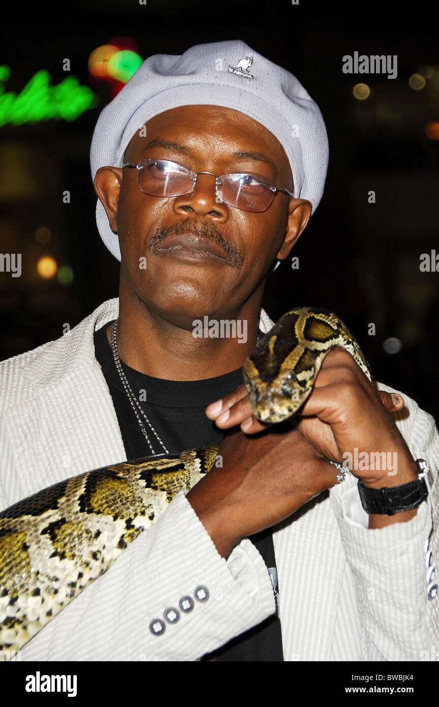 Snake on plane hi-res stock photography and images - Alamy