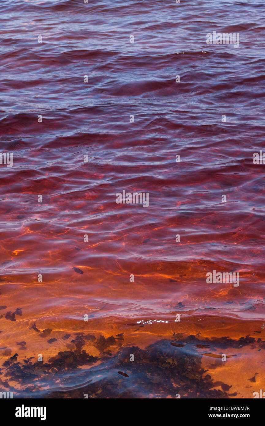 Fuerteventura, Canary Islands - Corralejo bay, Waikiki beach, red ...