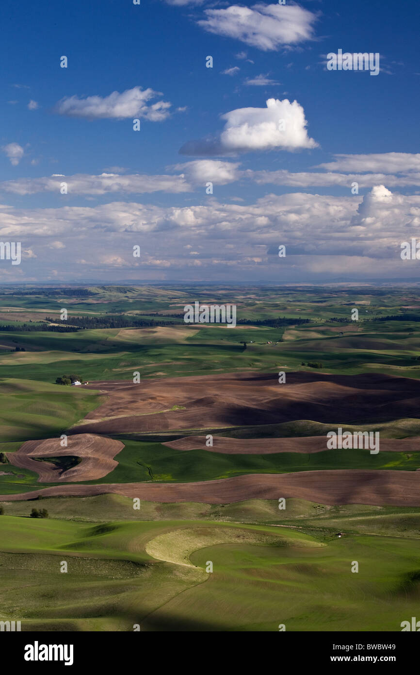 Spring in the Palouse, from Steptoe Butte, Washington State, USA Stock ...