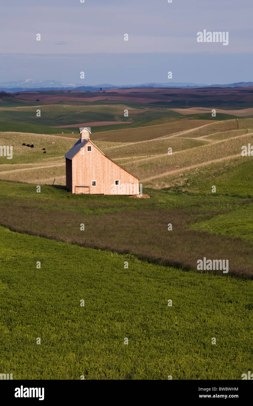 Barn in the Palouse Washington State USA Stock Photo - Alamy