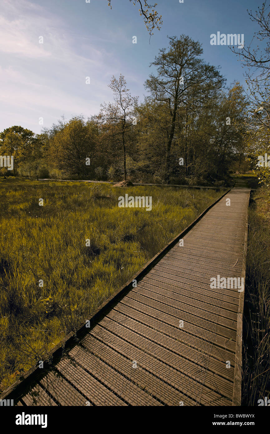 Boardwalk around Askham bog nature reserve managed by the Yorkshire ...