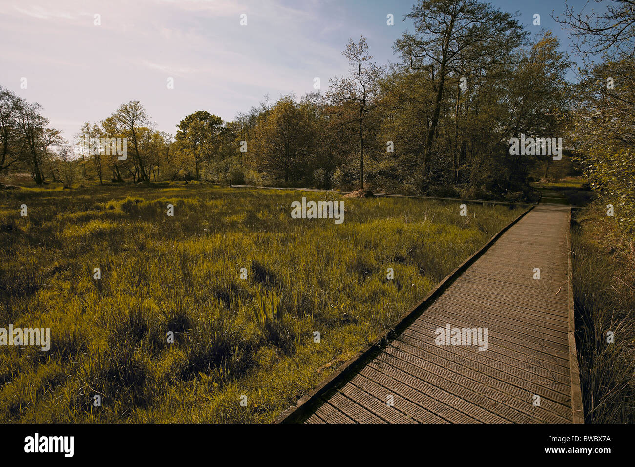 Boardwalk around Askham bog nature reserve managed by the Yorkshire ...