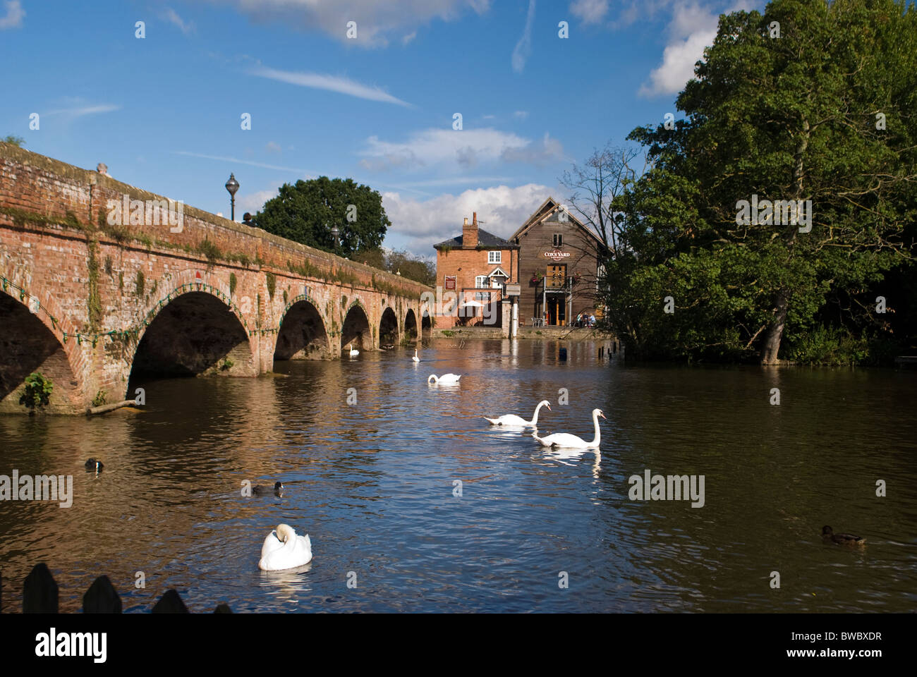 Birds river avon hi-res stock photography and images - Alamy