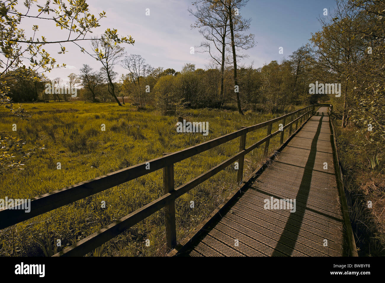 Boardwalk around Askham bog nature reserve managed by the Yorkshire ...