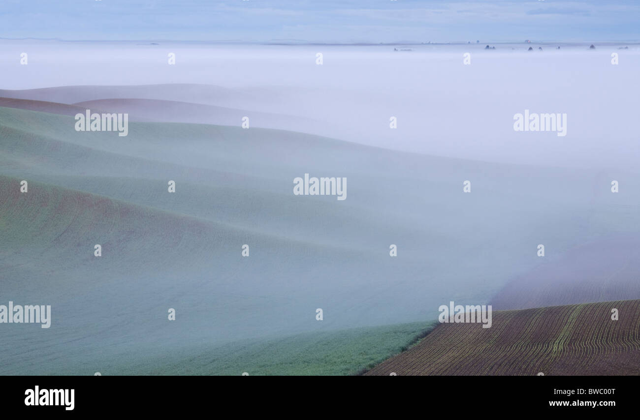 Palouse Landscape at Dawn, Washington State, USA Stock Photo - Alamy