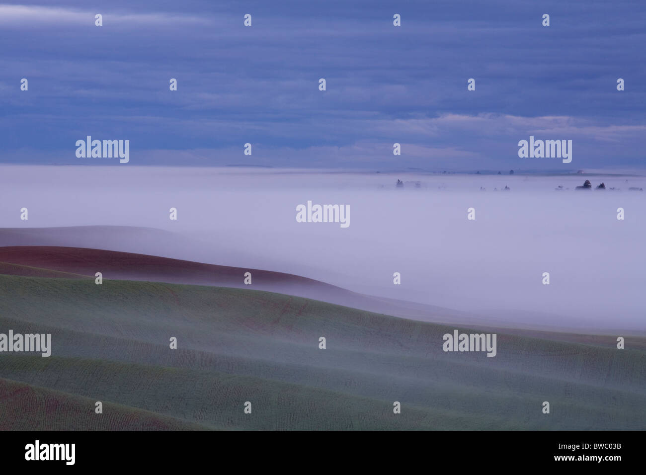 Palouse Landscape at Dawn, Washington State, USA Stock Photo - Alamy