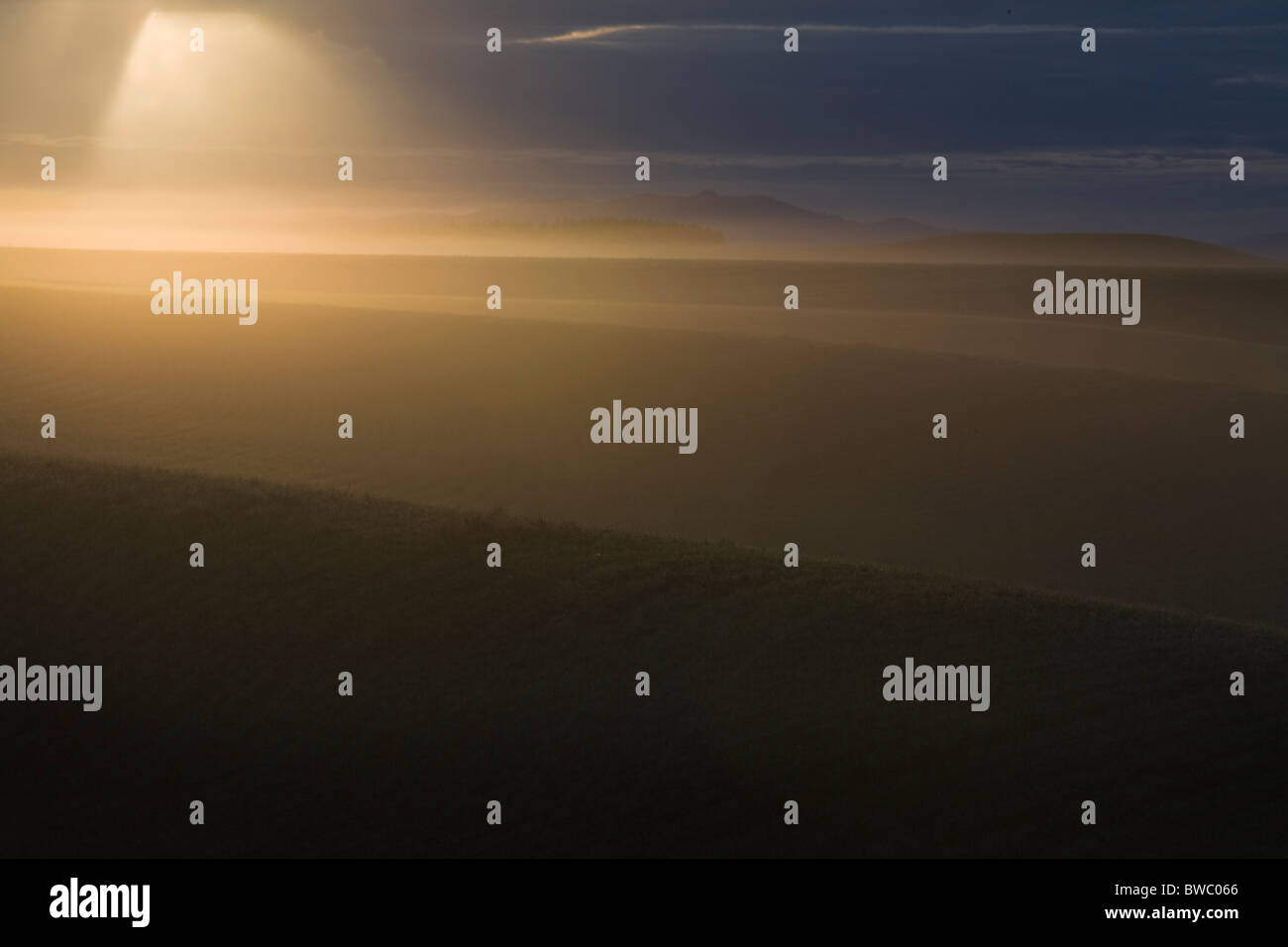 Palouse landscape at dawn, Washington State, USA Stock Photo - Alamy