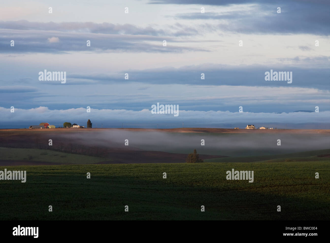 Palouse Landscape at Dawn, Washington State, USA Stock Photo - Alamy