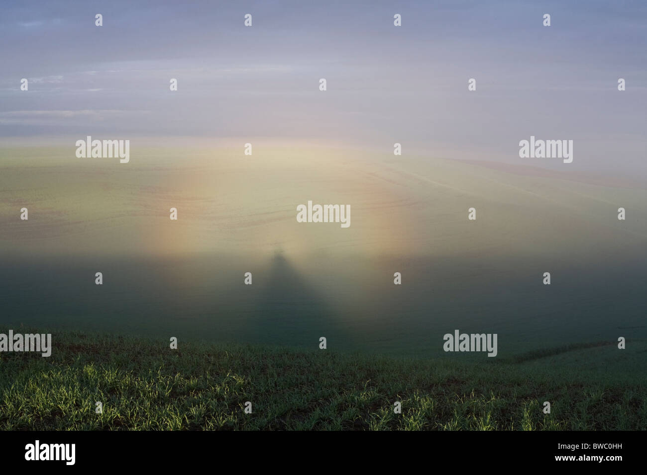 Brocken Spectre, Dawn, Palouse, Washington State, USA Stock Photo - Alamy