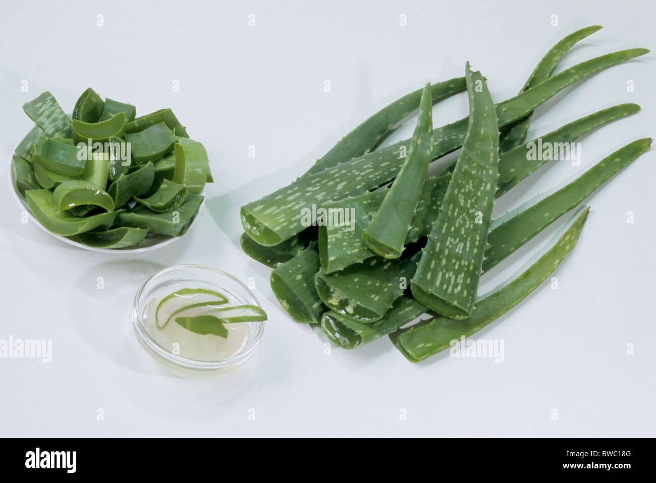 True Aloe (Aloe vera), whole and chopped up leaves and gel, studio ...
