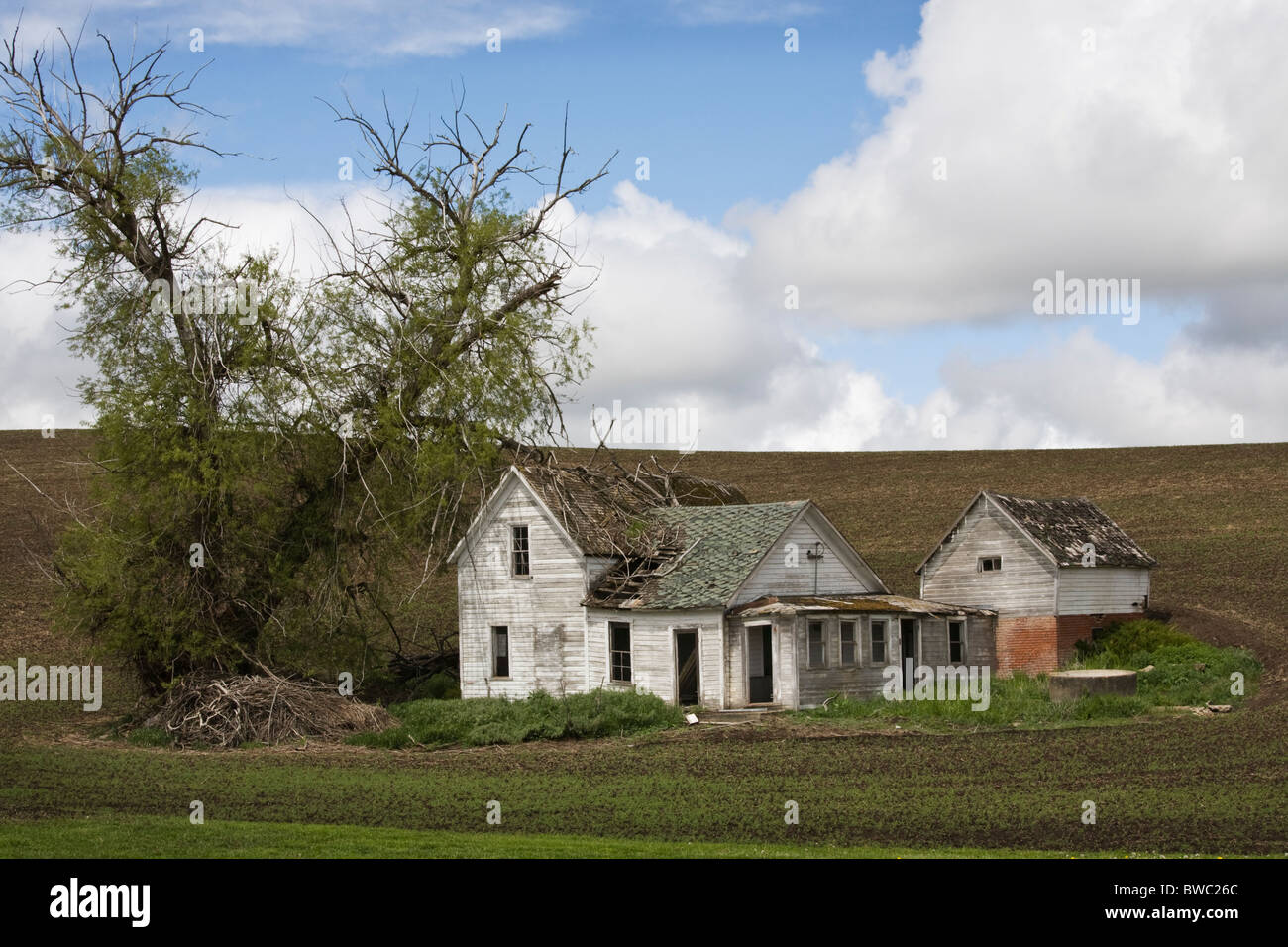 Abandoned homestead, East Washington State, USA Stock Photo - Alamy