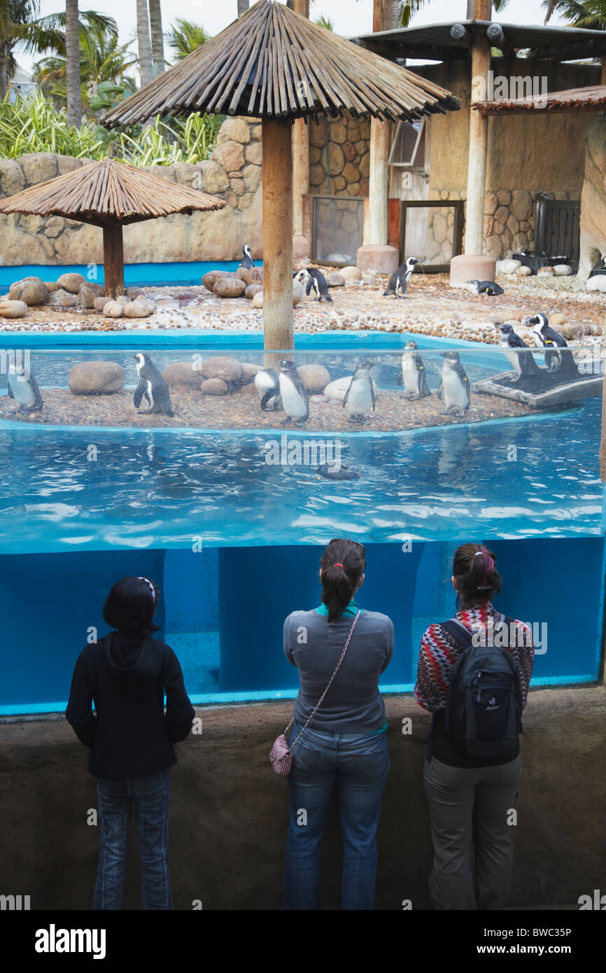 Ushaka marine world hi-res stock photography and images - Alamy