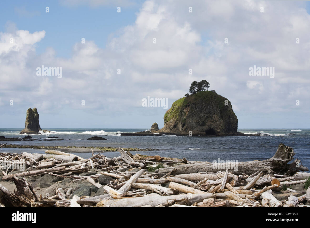 La Push, Olympic Peninsula, Washington State, USA Stock Photo - Alamy