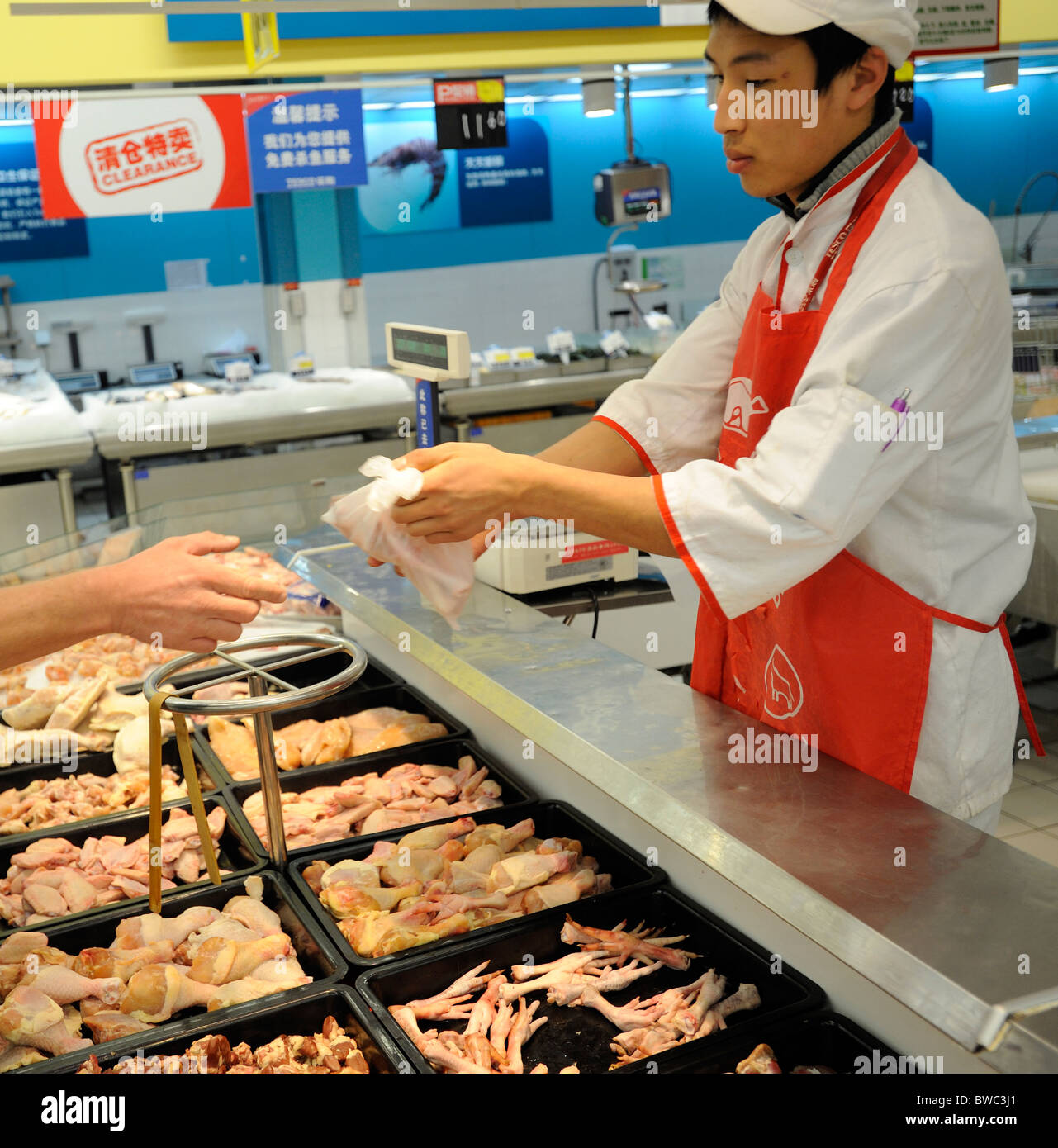 11 chickens hi-res stock photography and images - Alamy