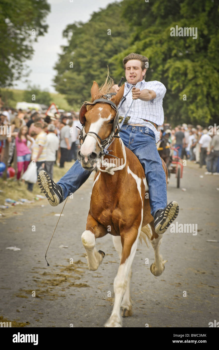Gypsy horse race hi-res stock photography and images - Alamy