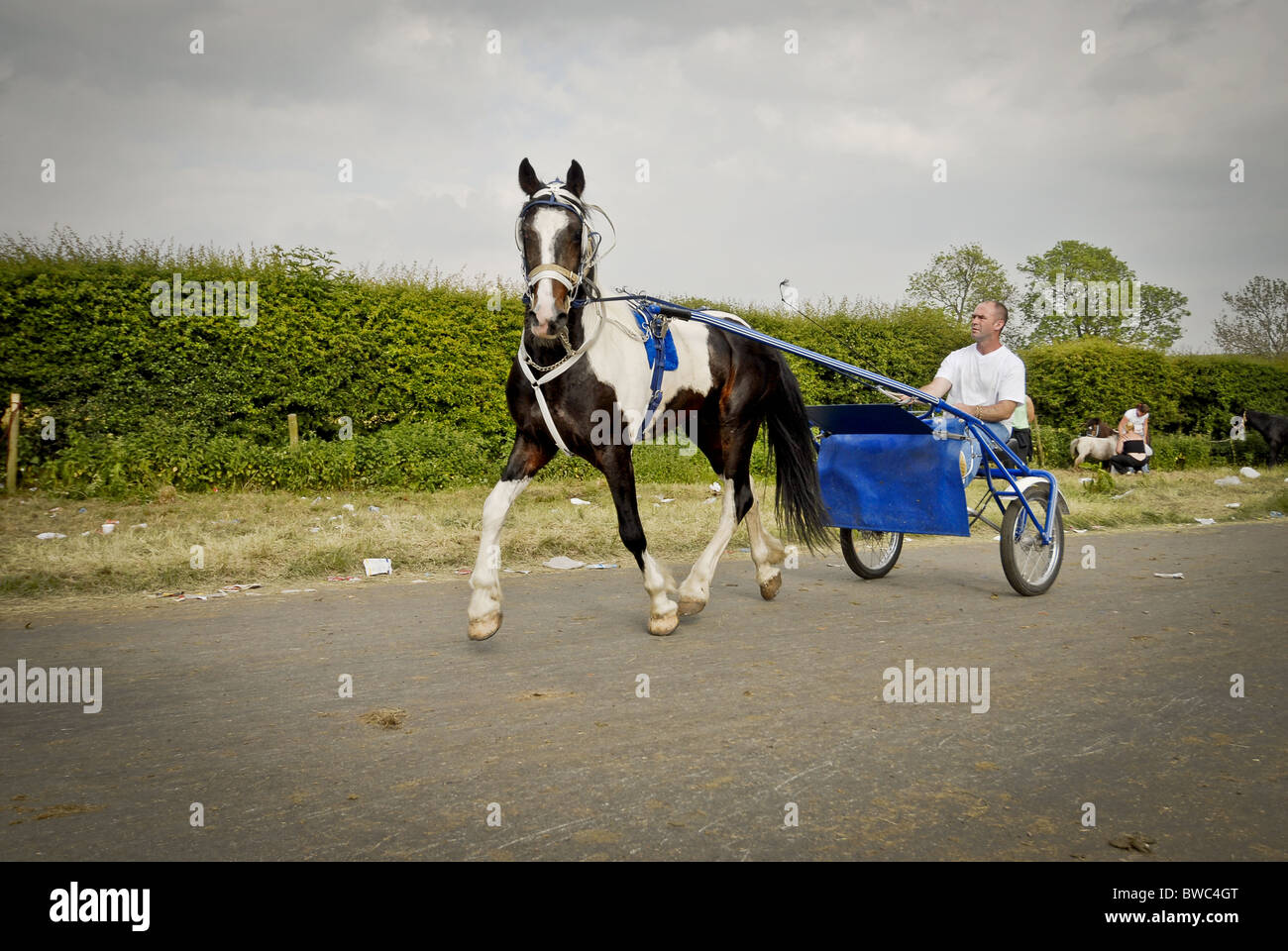 Pony and trap racing hi-res stock photography and images - Alamy