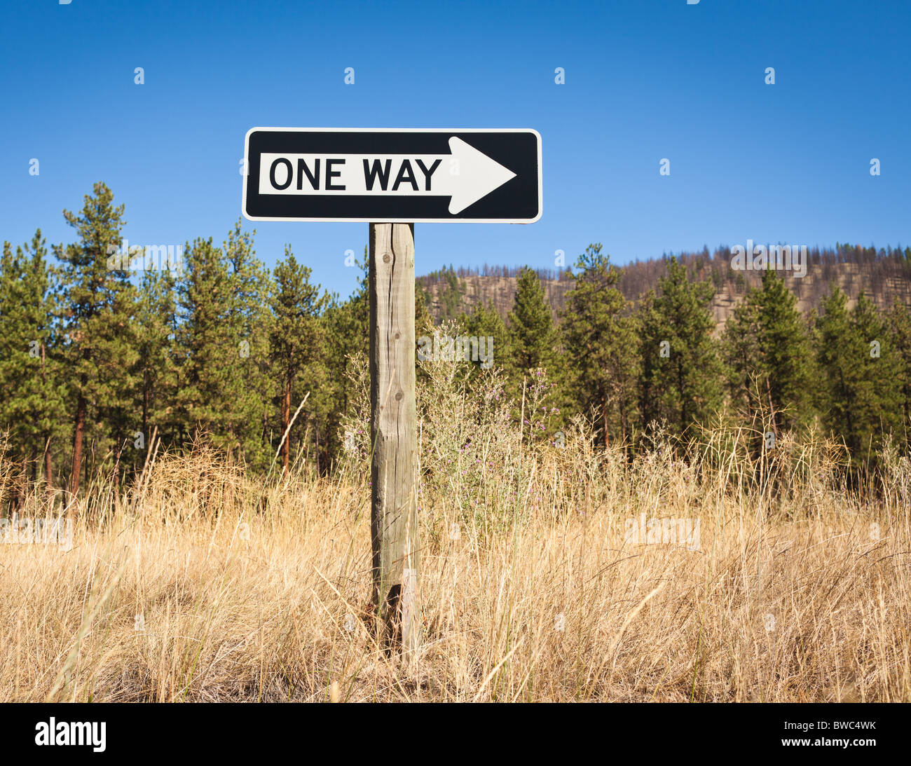One Way sign Stock Photo - Alamy