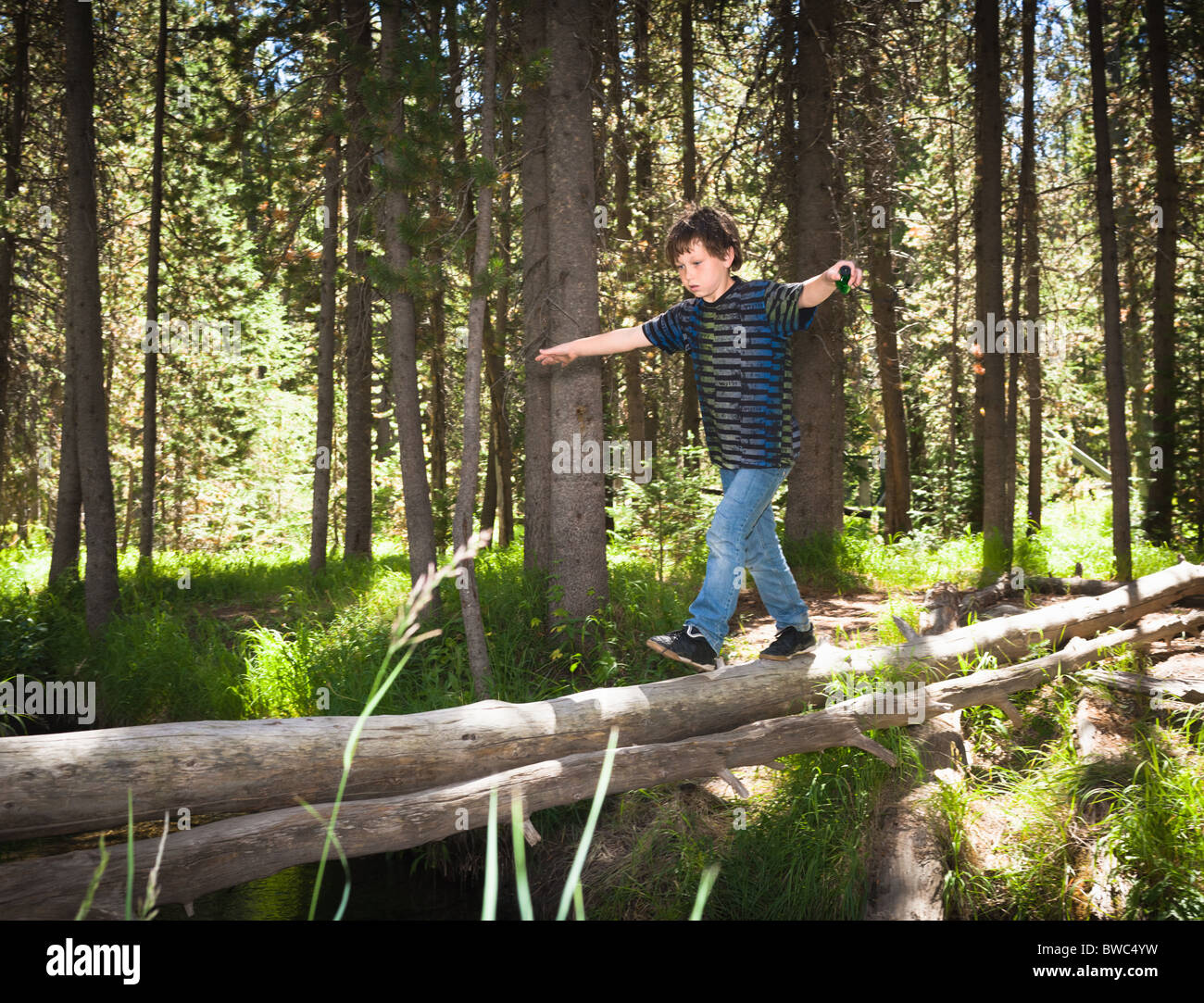 Boy walking across log Stock Photo - Alamy