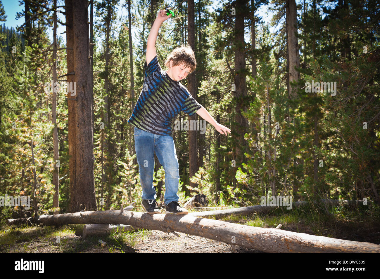 Boy walking across log Stock Photo - Alamy