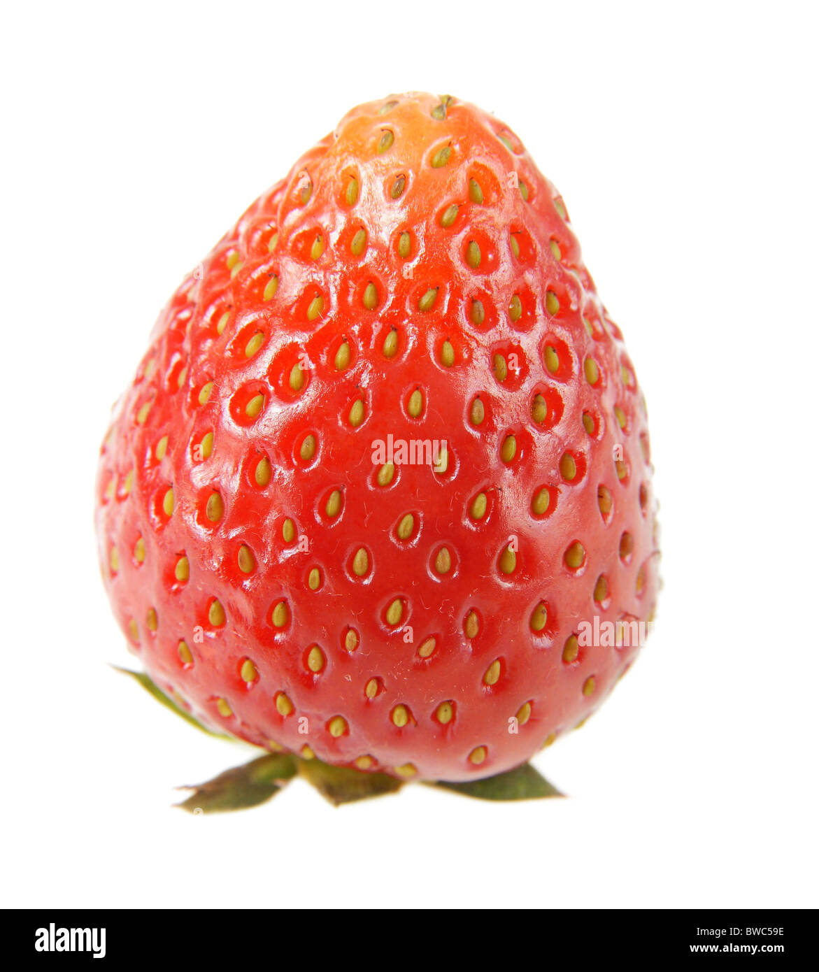 Close up big clean Cut Out Stock Images & Pictures - Alamy