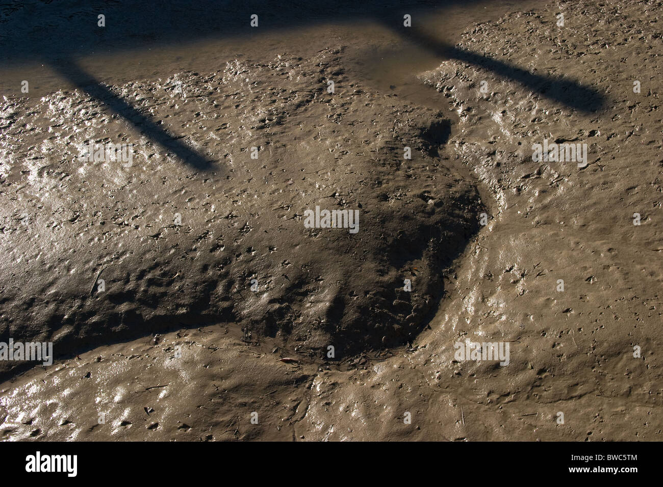 Silted river hi-res stock photography and images - Alamy