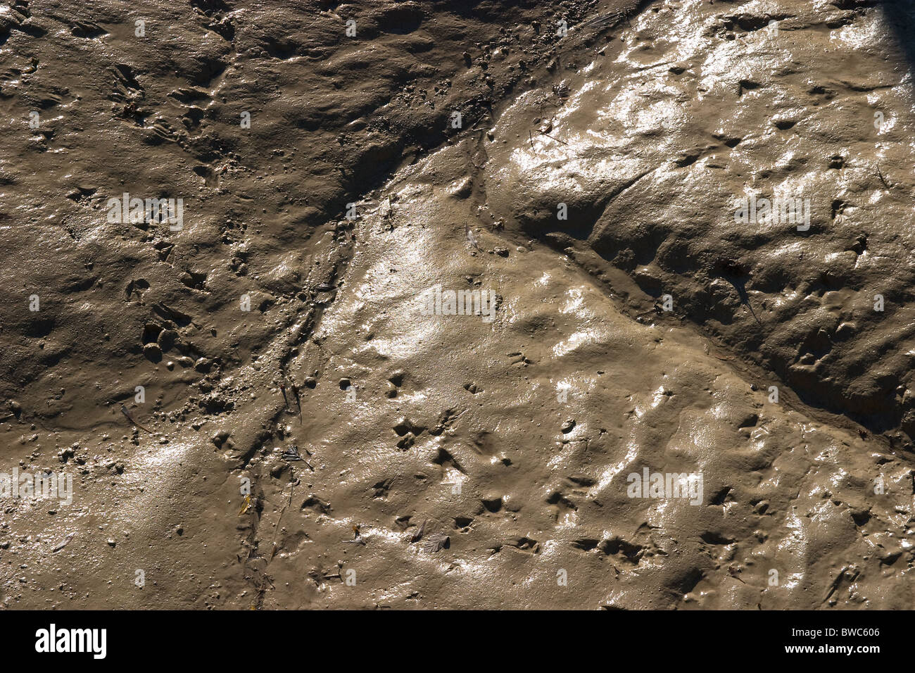 Silted channel hi-res stock photography and images - Alamy