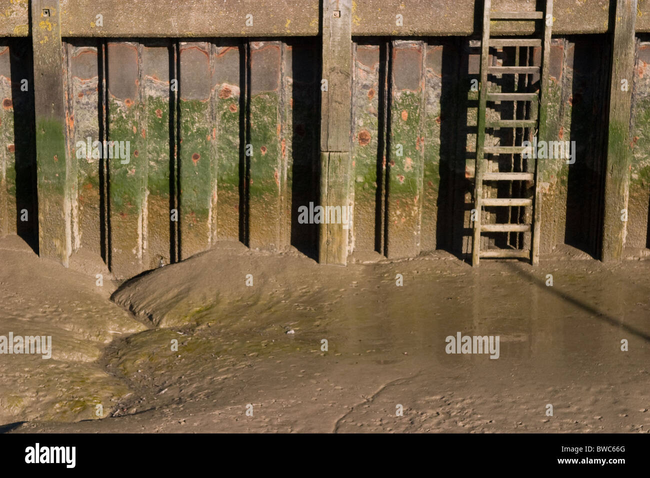 silted river bank and bed in bright winter sunshine Stock Photo - Alamy