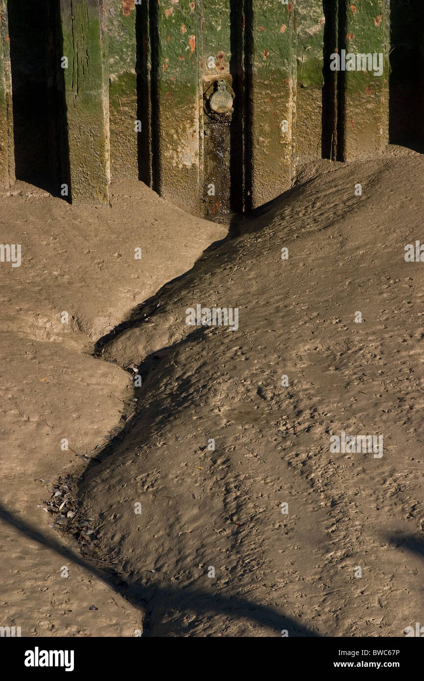 silted river bank and bed in bright winter sunshine Stock Photo - Alamy
