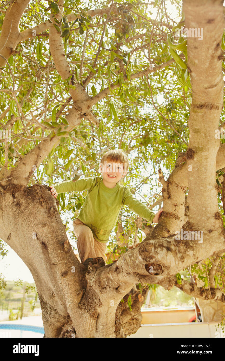 Smiling young boy climbing a tree Stock Photo - Alamy